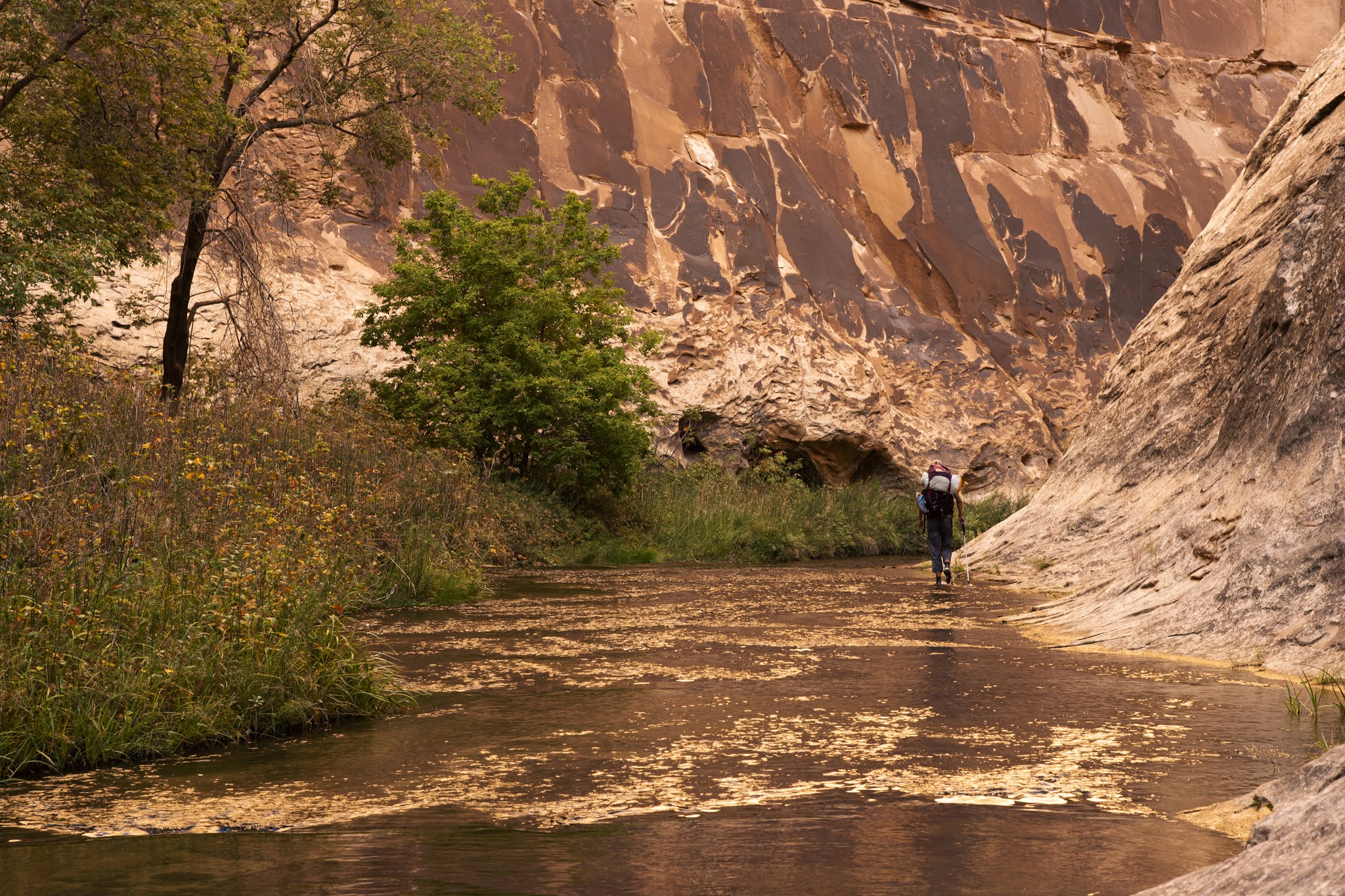 BOX DEATH HOLLOW. ESCALANTE, UTAH - ADAM HAYDOCK