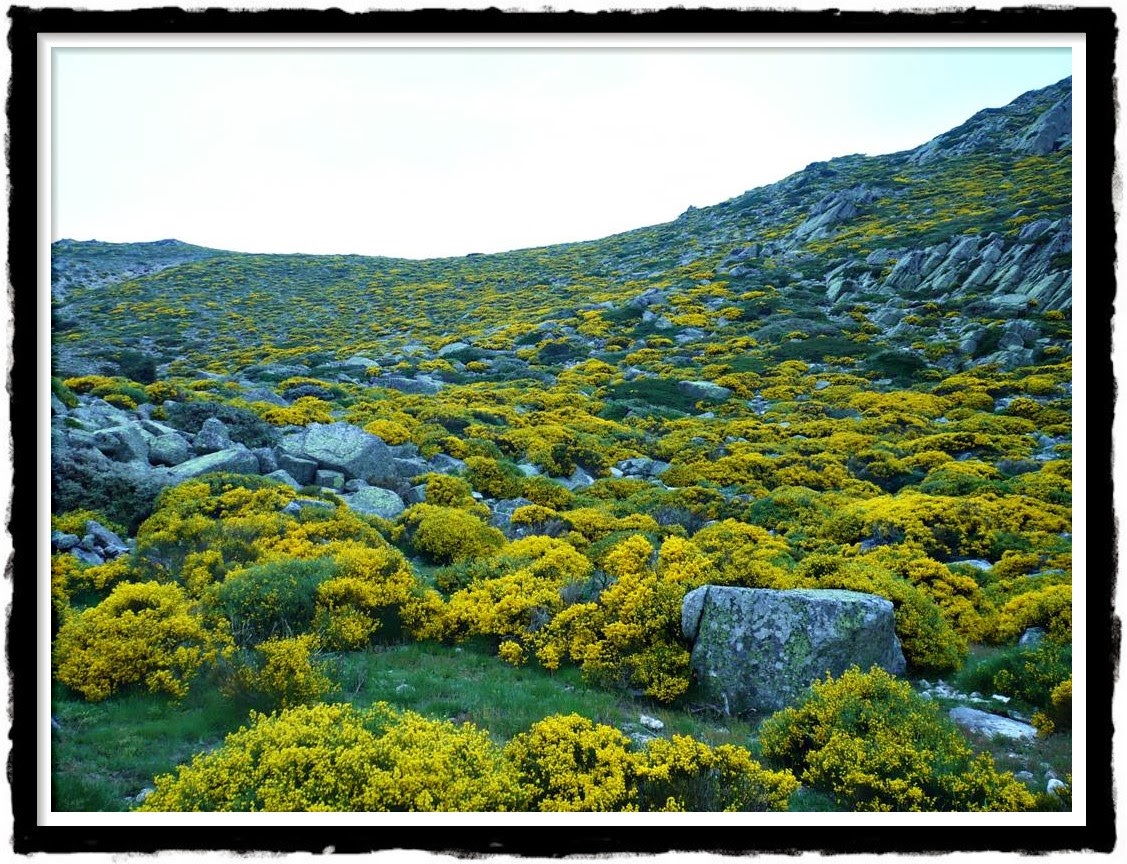 ! PALABRAS INTERESANTES, HERMOSAS, RARAS Y DIVERTIDAS: LANDA ...