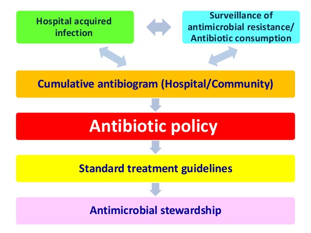 What is Antibiotic Policy