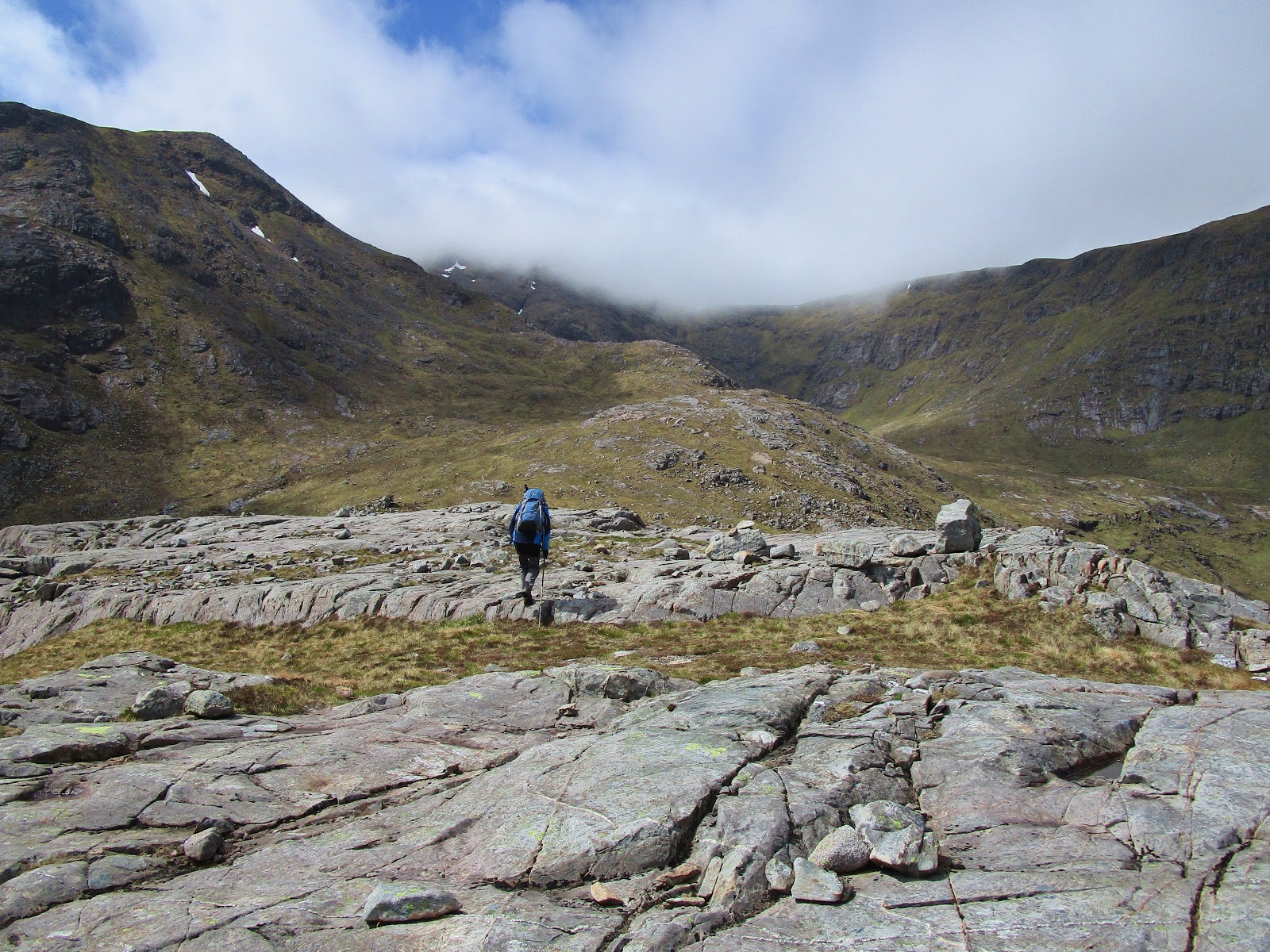 Big Gorse Bush: May 2019