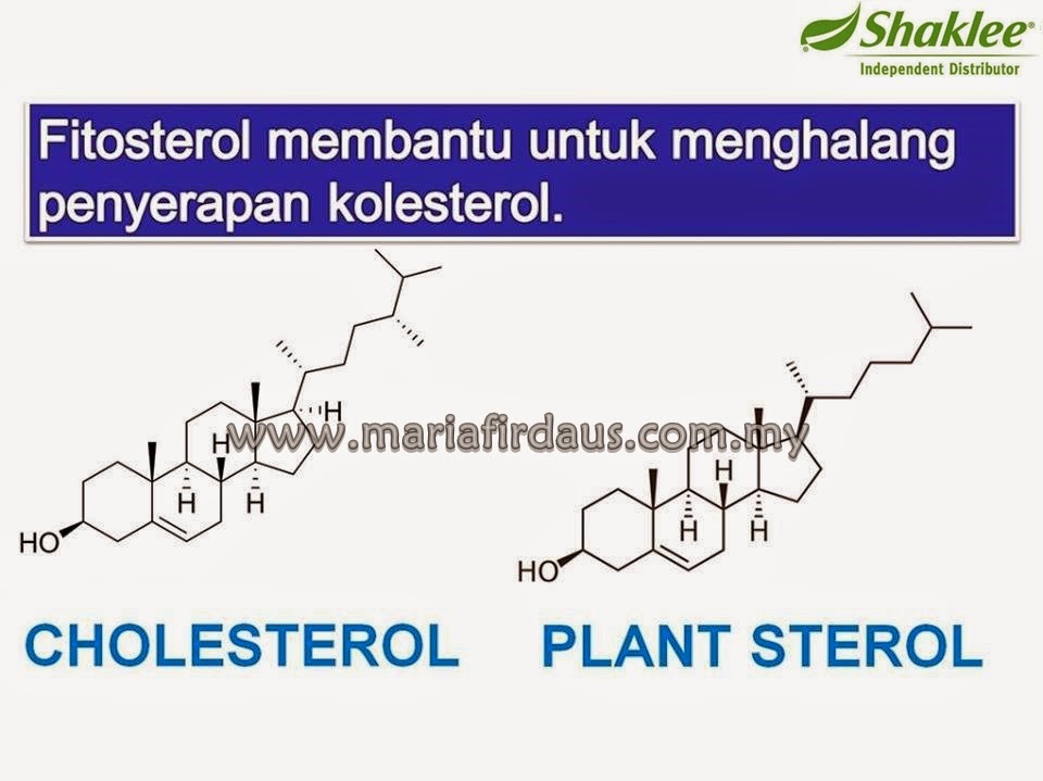Turunkan Kolesterol Secara Semulajadi!! | Maria Firdaus
