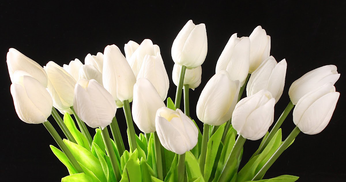 Permohonan Maaf Dapat Disampaikan Dengan Pemberian Bunga Tulip Putih ...