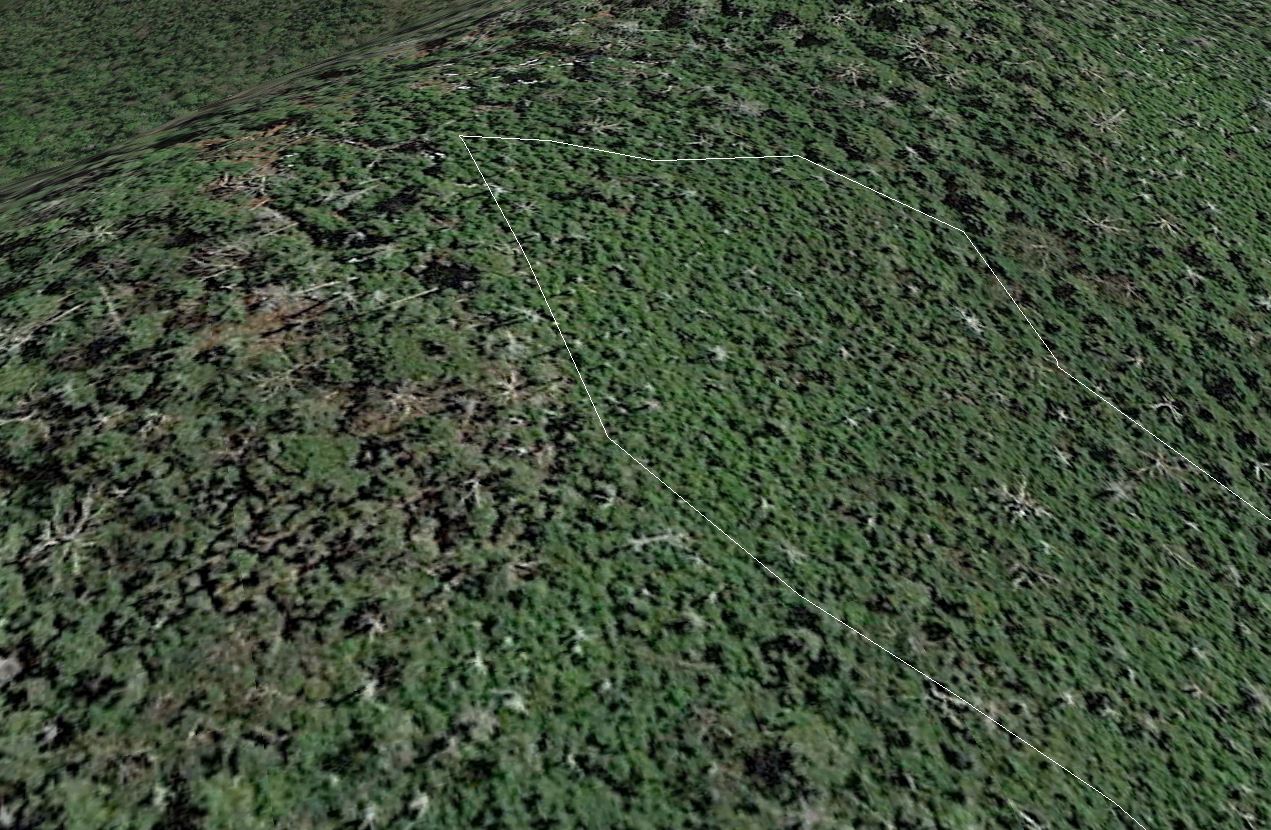 A Little Wild: November 2014