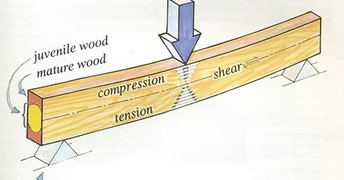 Essai de flexion sur poutre en bois | Site spécialisé dans l'ingénierie ...