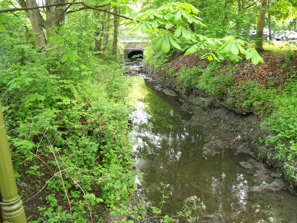 Andrew Simpson: Following the Gore Brook south from Gorton towards Chorlton