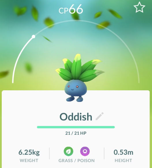 Water Type Pokemon Cluster at Sukhna Lake, Chandigarh | Splendid Gamer ...