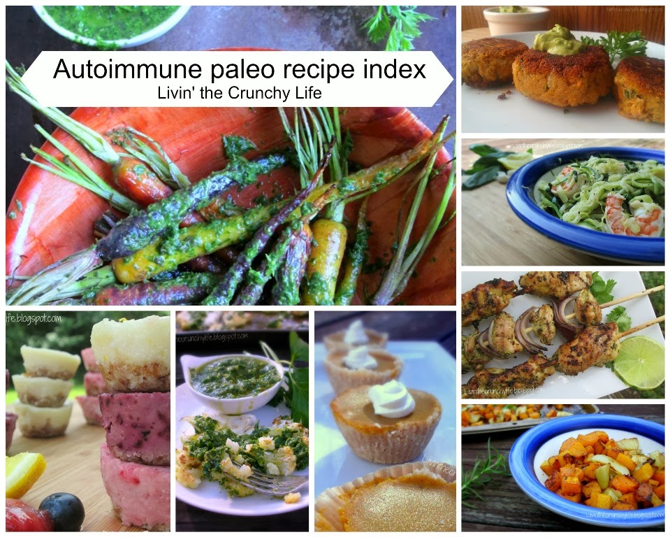 Autoimmune Paleo Protocol Recipes | Livin' the Crunchy Life