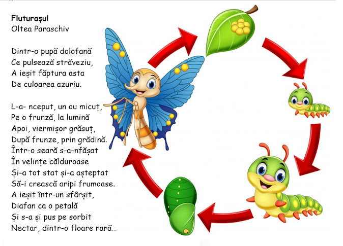 Doamna Fagilor: 2021