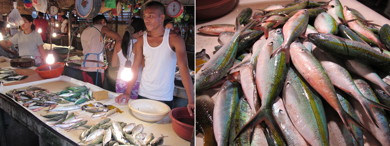 Local Knowledge Mactan: The Fresh Catch