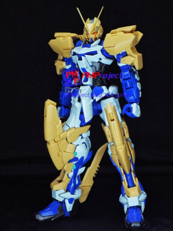 GUNDAM GUY: MG 1/100 Astray Blue Frame: PMProject Resin Conversion Kit ...