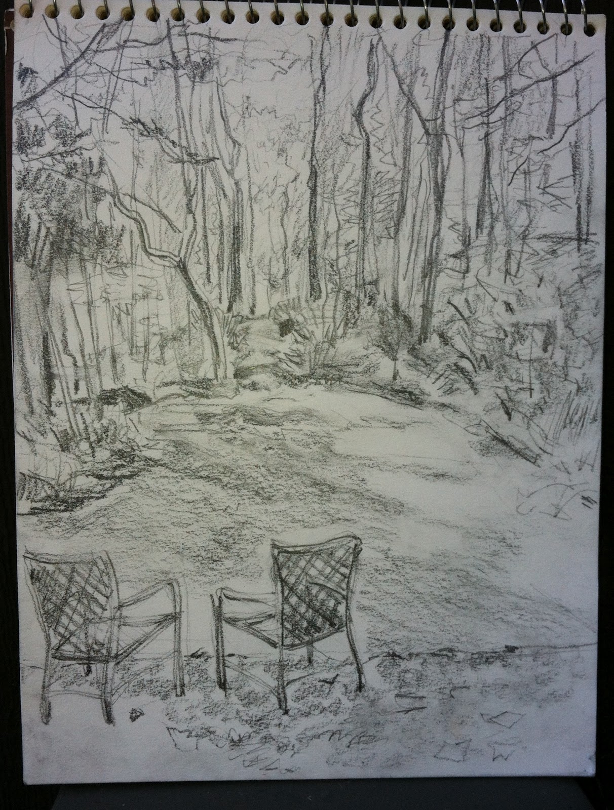 Susanna Kitson | Drawn to Contrasts: The woods in Vermont, a drawing