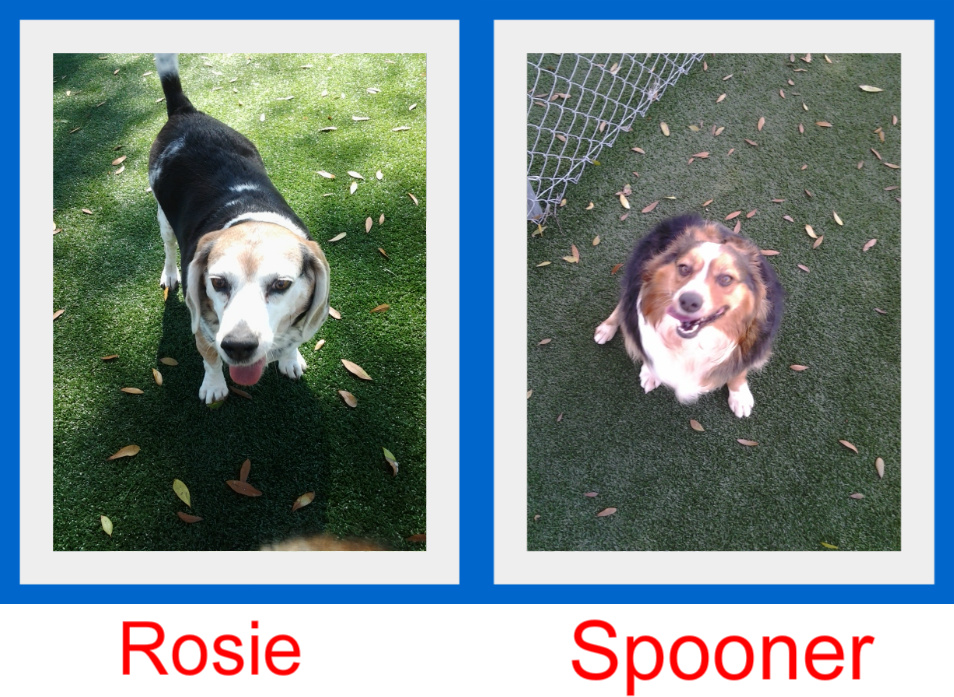 The Shelter Girl: February 2012