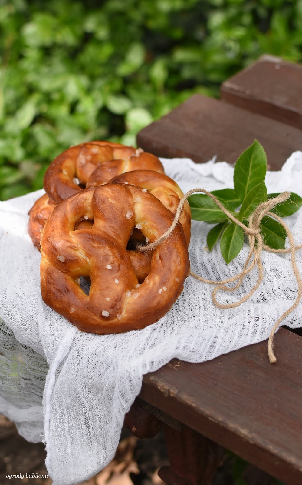 ogrody babilonu: precle