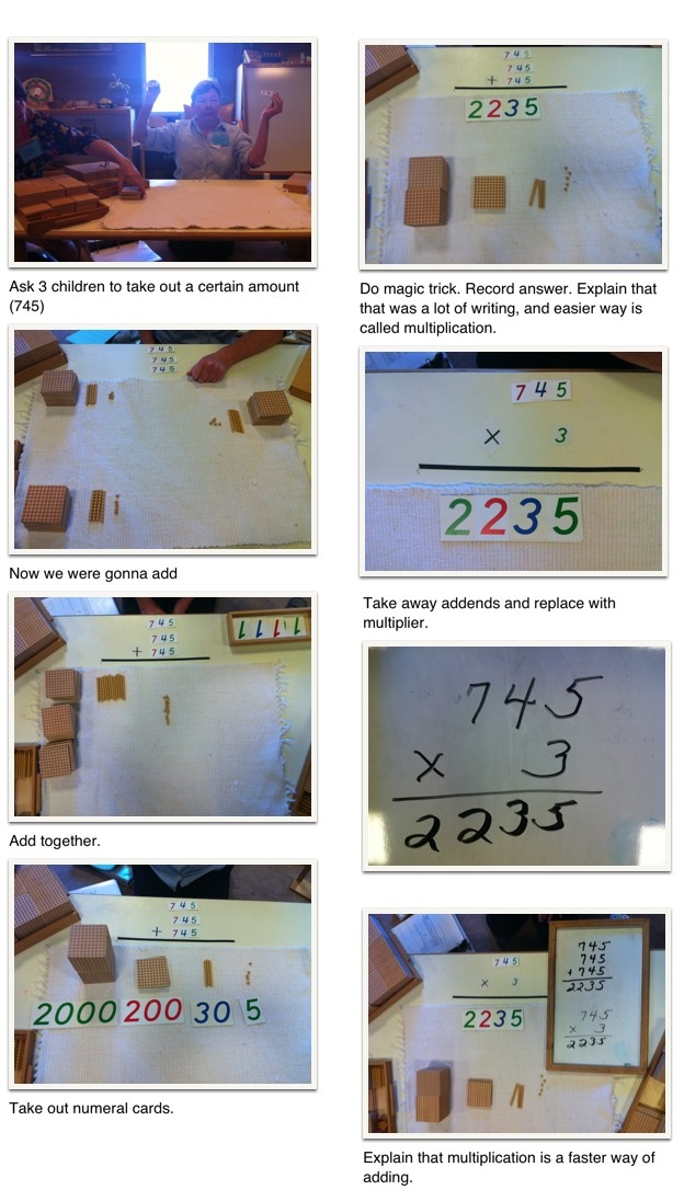 Montessorian in Training