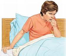 Red de Salud: Glosario