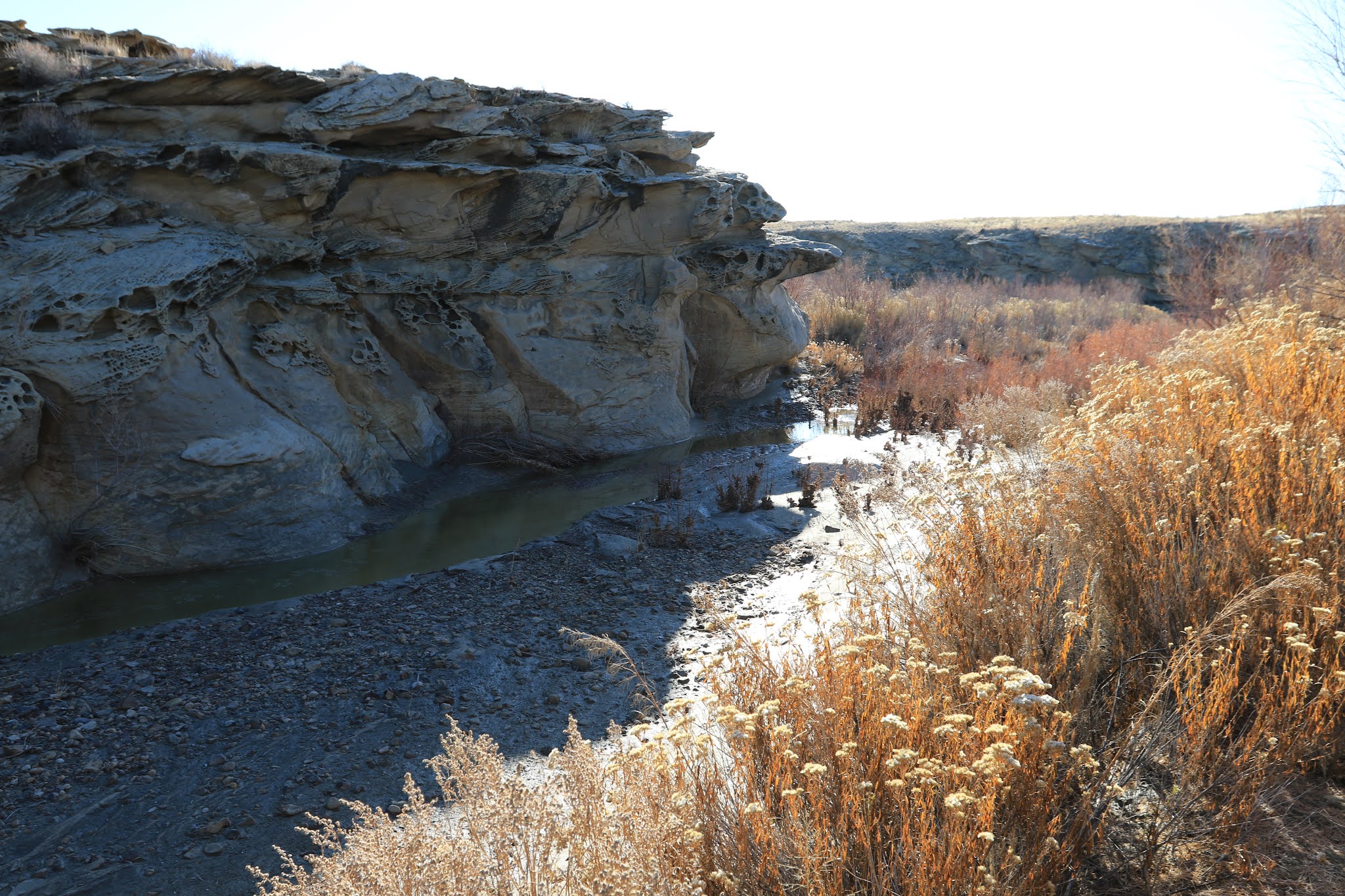 gjhikes.com: Ivie Creek Petroglyphs