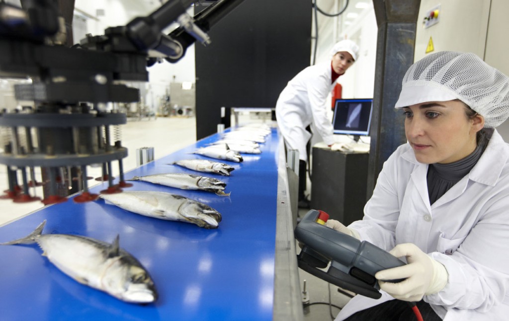 Contenidos Informáticos : Tecnologías en los alimentos