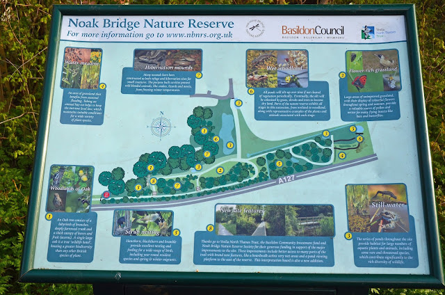 SS15 wildlife watching: Noak Bridge Nature Reserve