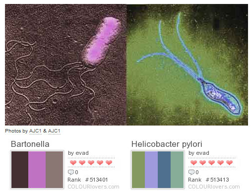 Medical Laboratory and Biomedical Science: The Colors of Microbiology