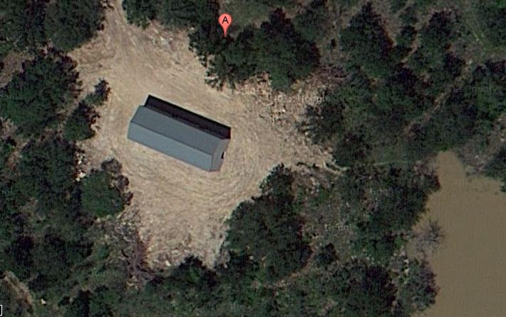 Amanda Lollar of Bat World Sanctuary in Weatherford, Texas | Mary ...