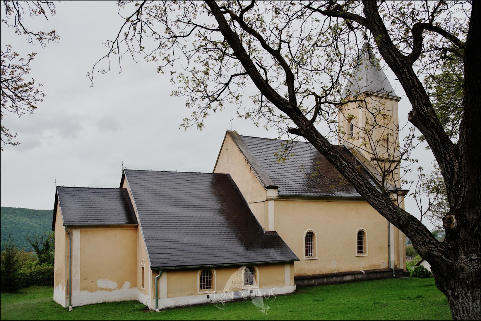 Heremita Monoculus: apríla 2019