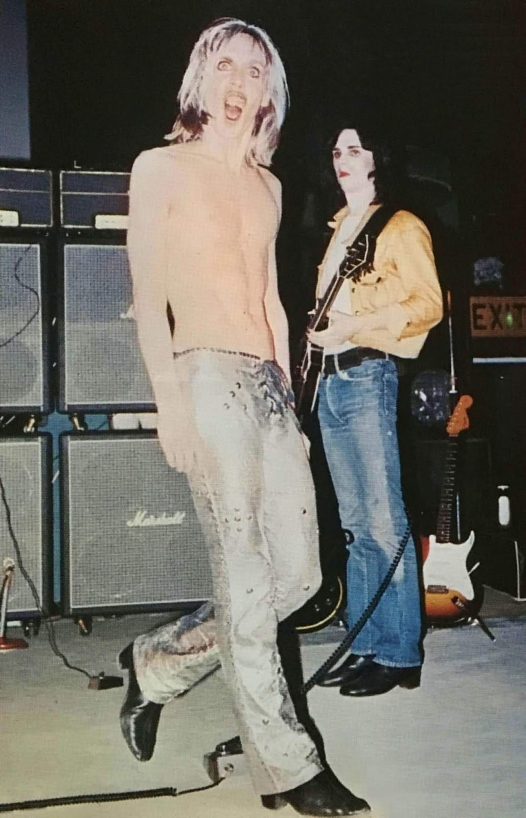 Forestdweller: Iggy Pop & James Williamson