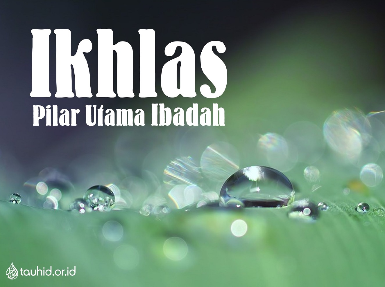 IKHLAS, PILAR UTAMA IBADAH | Buletin | Tauhid.or.id
