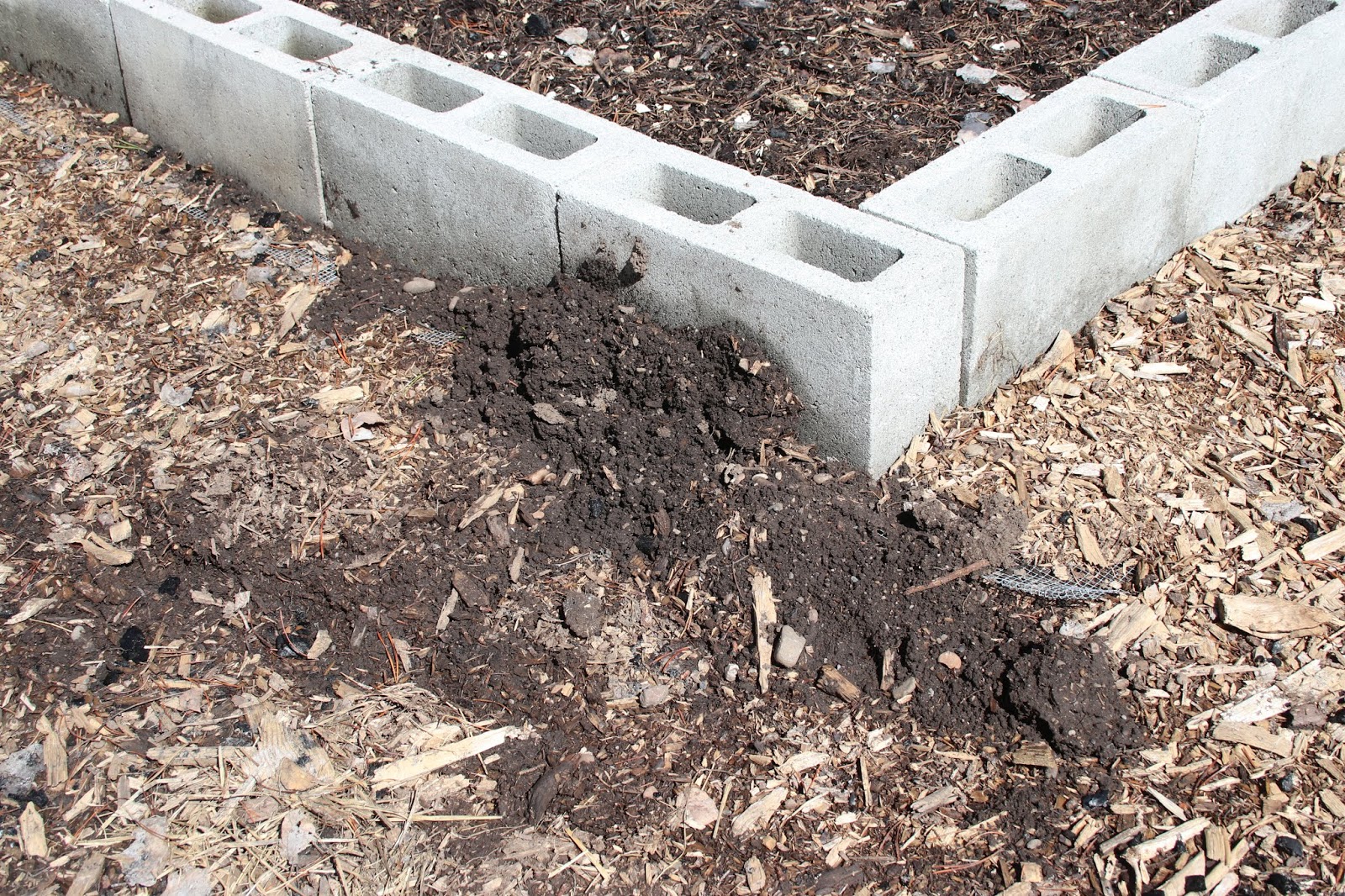 Fy Nyth...: Tiny House Garden - Is the Gopher Proofing Working?