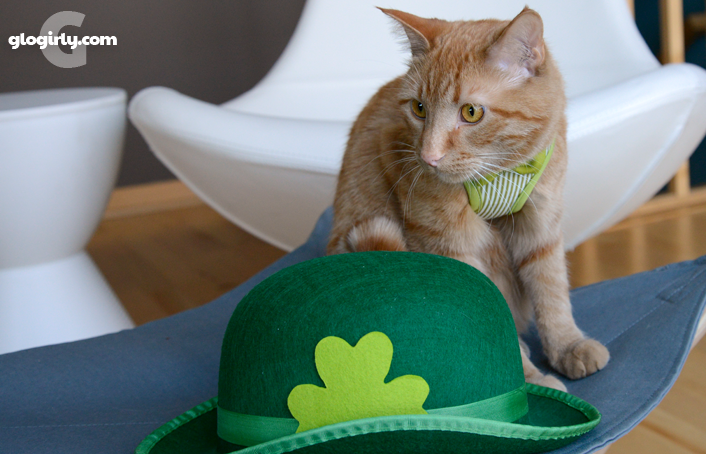 GLOGIRLY: A Cat & His Leprechaun Dreams