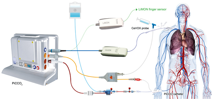 " ESFUERZO QUE SE FUNDAMENTA EN EL BENEFICIO DEL PACIENTE Y FAMILIA ...