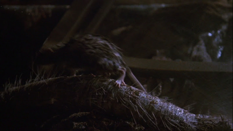 Monster Crap: Monster Crap Induction: Graveyard Shift (1990)