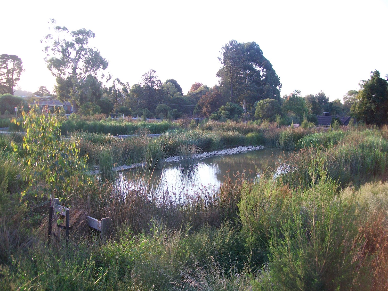 Landscape: The Range, Croydon