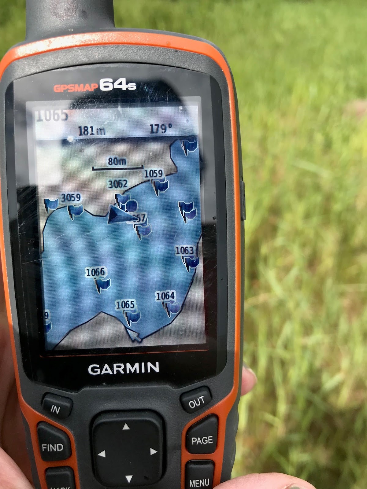 Metsähallitus merellä: Harvinaisuuksia bongaamassa