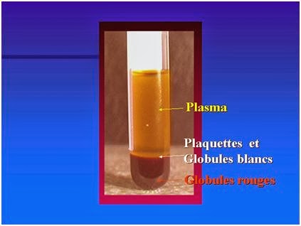 Groupe 35 - Année 2013-2014: Pourquoi le sang est-il rouge