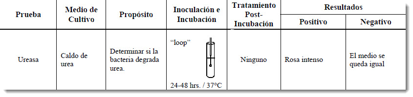 Avibert: octubre 2012
