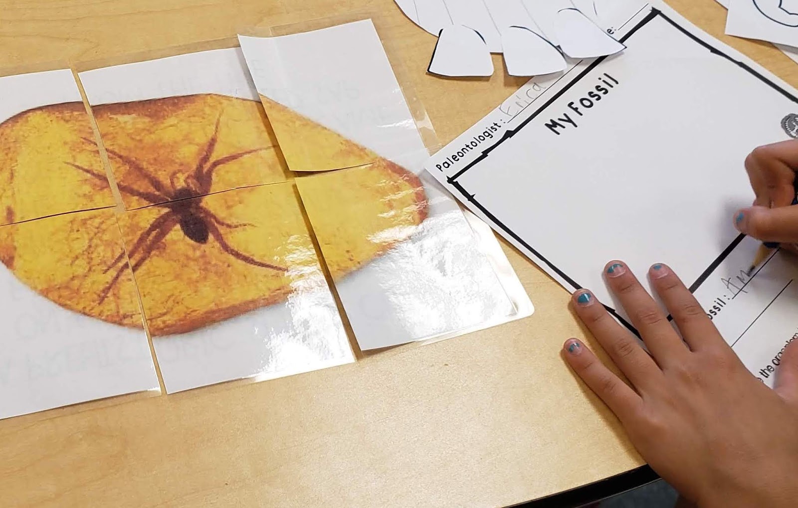 Jurassic World Classroom Transformation & Fossil Activities | Kaylynn's ...