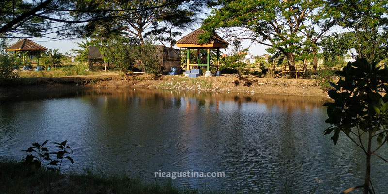 Hutan Kota Pakal: Tempat Wisata Sejuk dan Gratis di Surabaya Barat
