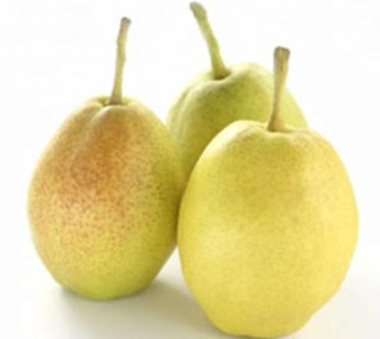 Welcome: Fragrant Pears