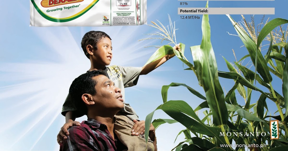 Dekalb Corn Experience