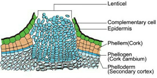 Ratna Dewi Wulaningsih