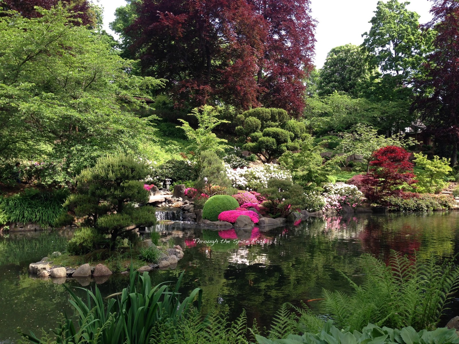 Through The Spice Rack: Off the beaten path in Germany: Kaiserslautern ...