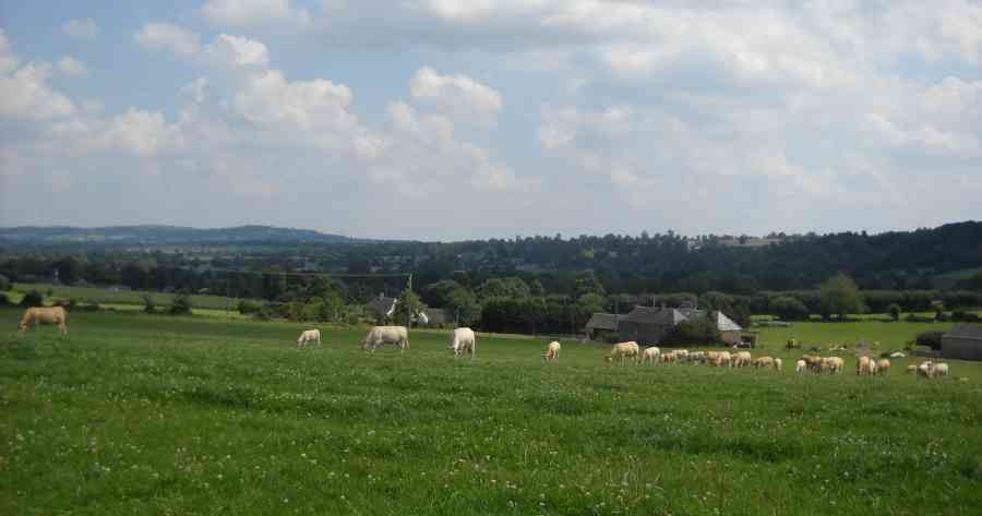 Créer de l'emploi partagé en milieu rural - L'emploi et les métiers de ...