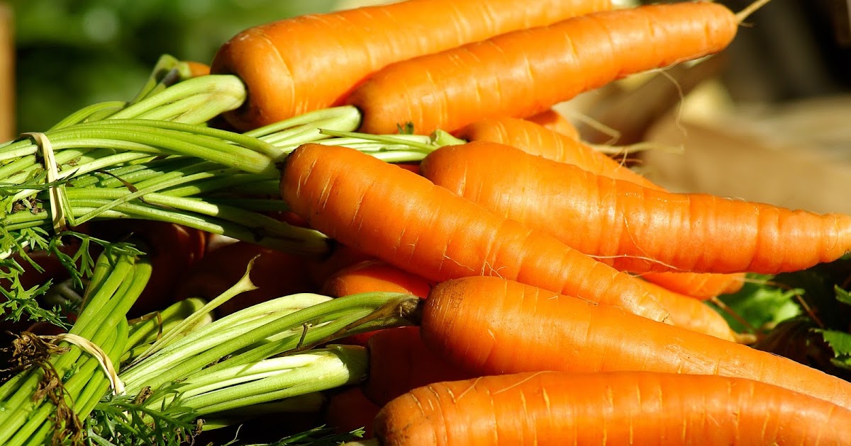 SENEGAL/FASS BOYE : LES CAROTTES PEINENT A TROUVER PRENEURS SUR LE ...