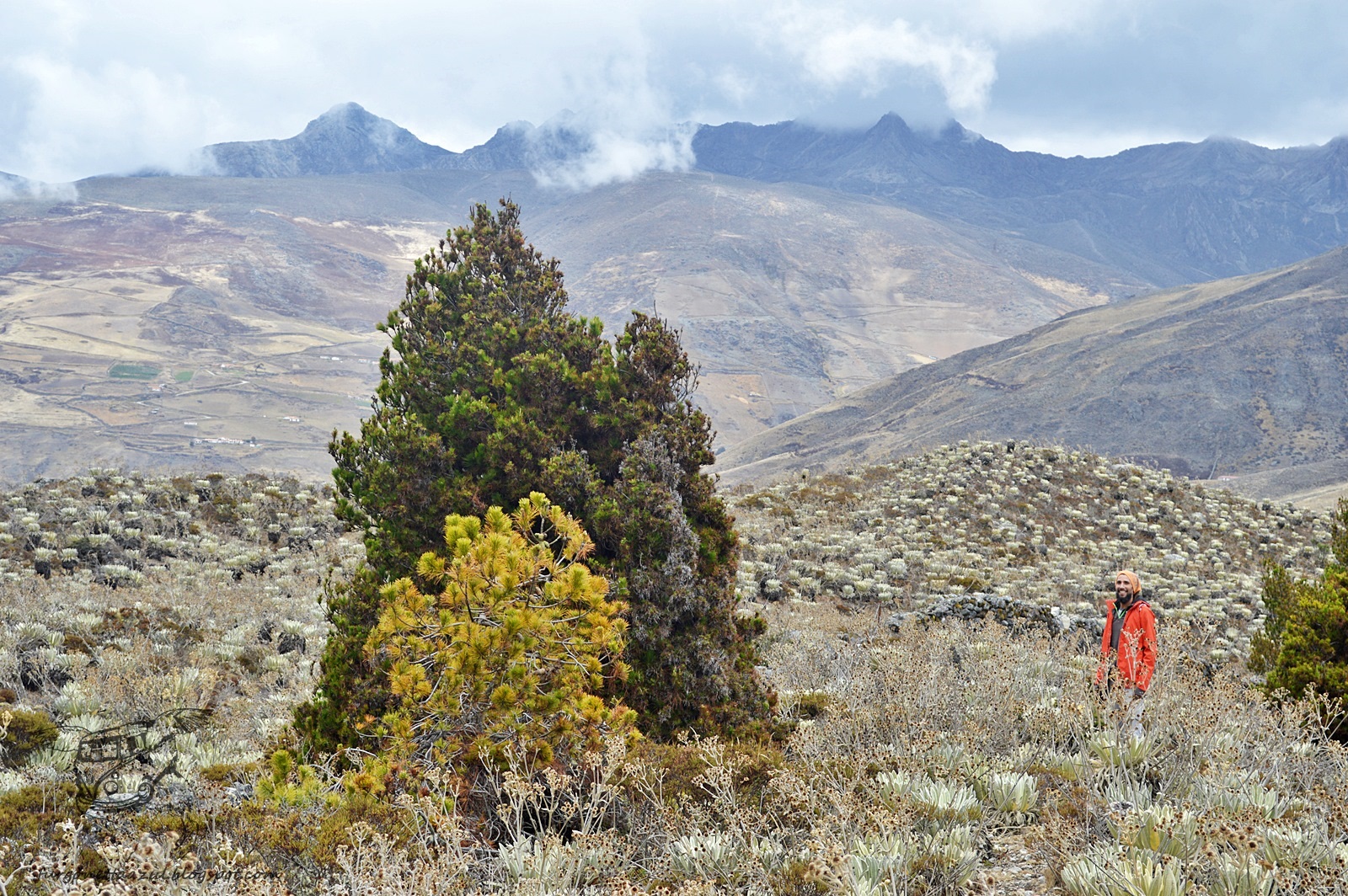 FURGONETA AZUL: LOS PÁRAMOS, ANDES VENEZOLANOS.