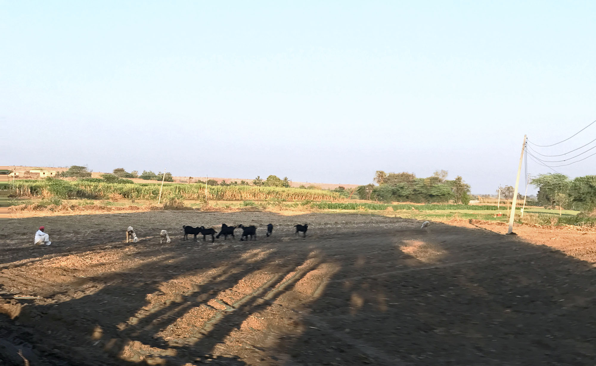 Stock Pictures: A farmer tending to his field in rural Maharashtra