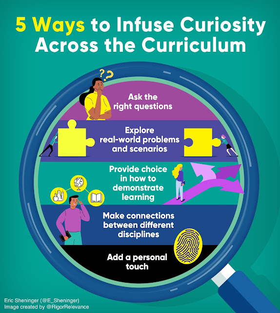 Curiosity: The Ultimate Learning Trigger – Idiom Studio