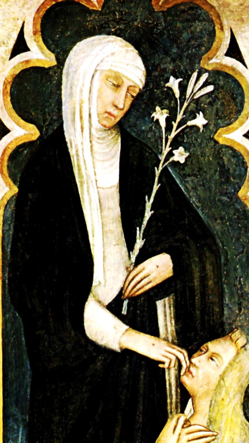 The Carmelite Library: Saint Catherine of Siena ANN ROCHFORD