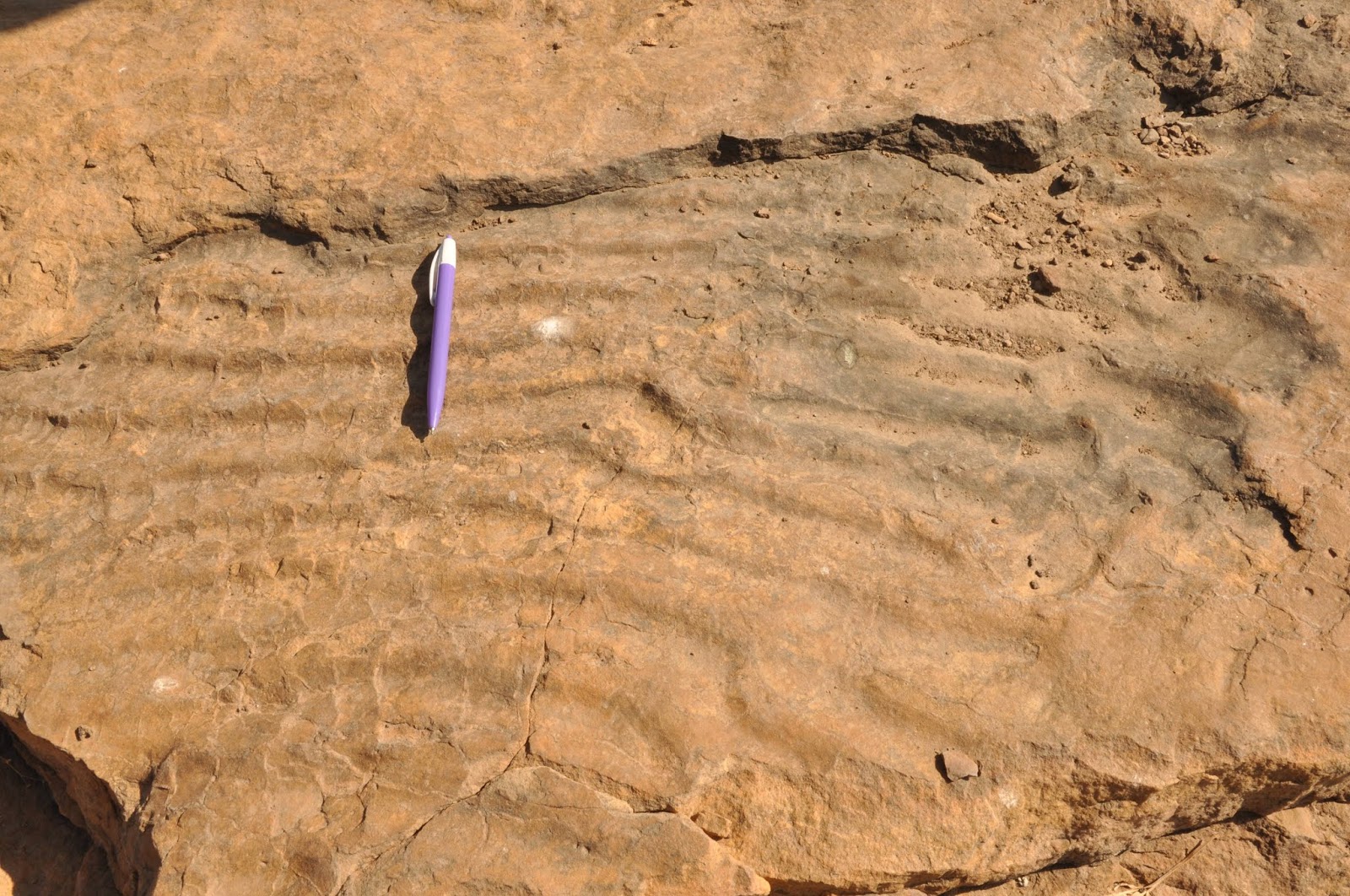 Vindhyan Basin - Geologypage