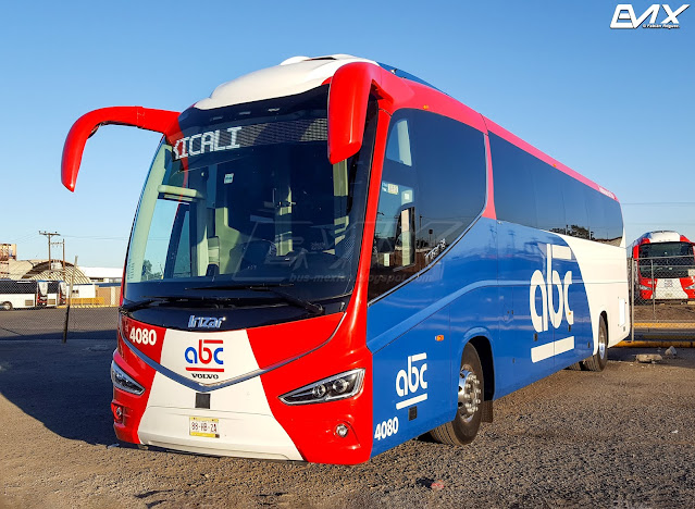 Autobuses de la Baja California: ABC Plus - Bus-México