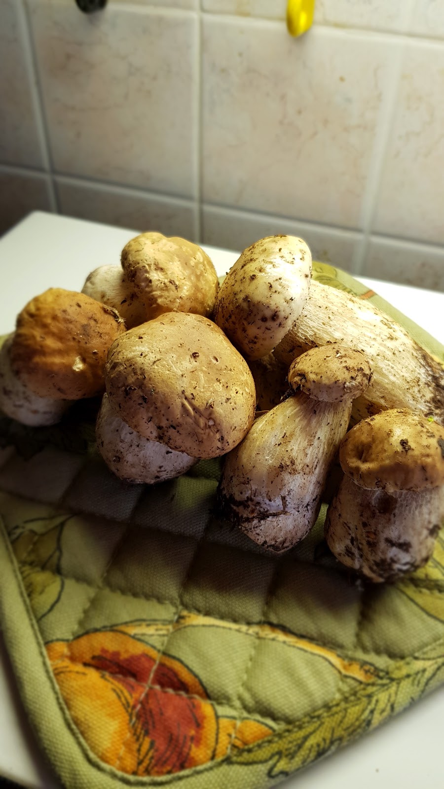 Buon Appetito Food Blog - Italian Cooking, Italian Flavour, and Recipes ...